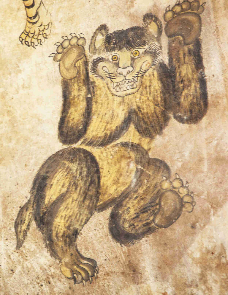 Tracking down the Yeti in the Himalaya - Geographical