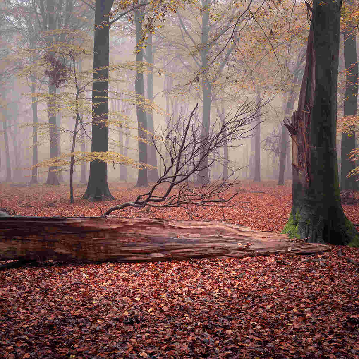 Earth Photo 2022 Winners & Shortlist - Geographical