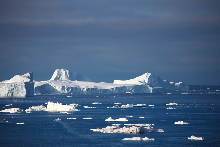 Arctic Ocean food chain disrupted as key tipping point passed ...