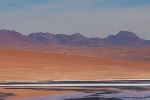 The trench at the edge of the desert - Geographical