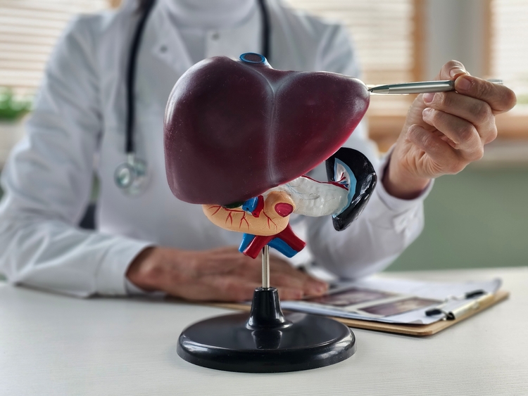 Chronic liver disease: the preventable crisis in Europe - Geographical