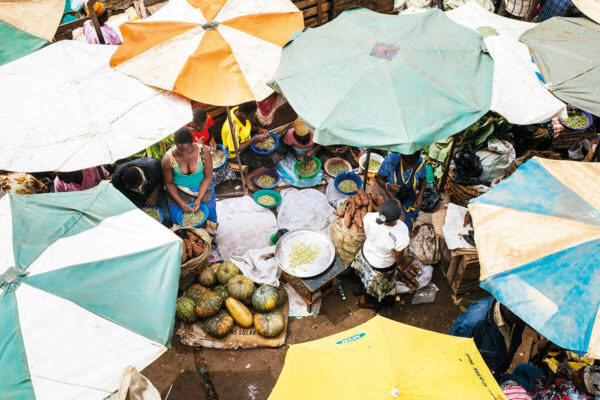 Uganda's beneficial nsenene feast - Geographical