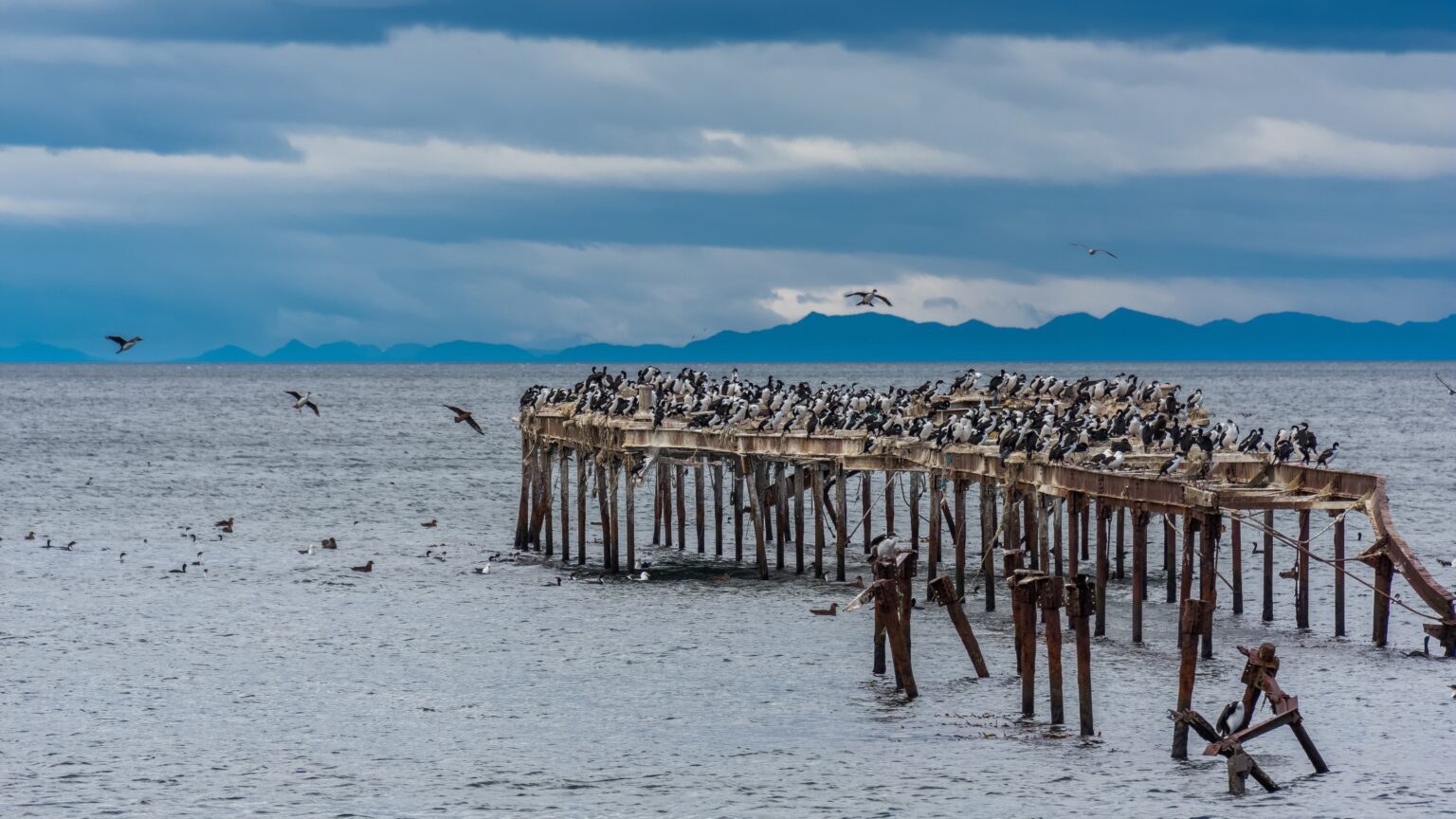 The life and career of iconic travel writer Bruce Chatwin - Geographical