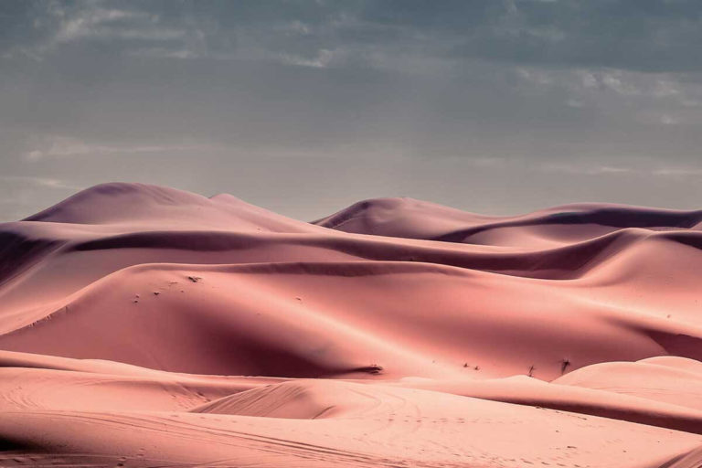 Why the Sahara desert is growing - Geographical