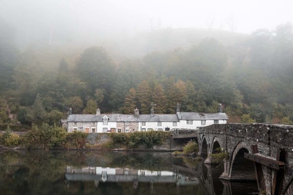 Restoring Welsh forests could help forge a new national identity ...