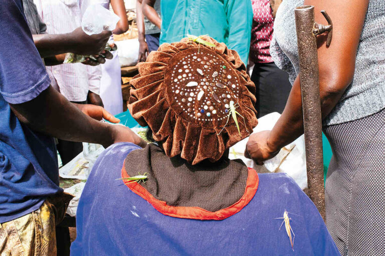 Uganda's beneficial nsenene feast - Geographical